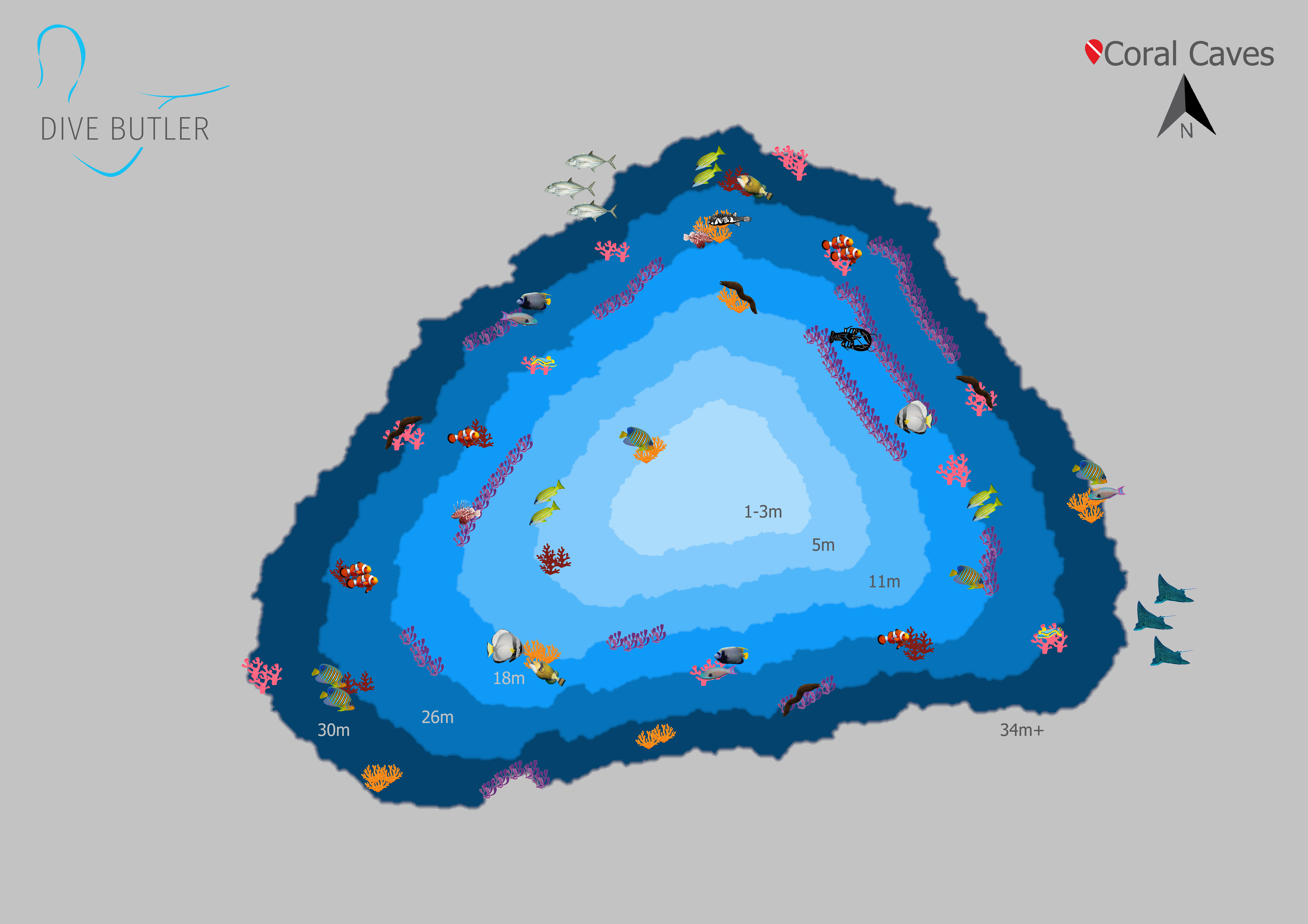 14 Coral Caves - DBI ZEN.png